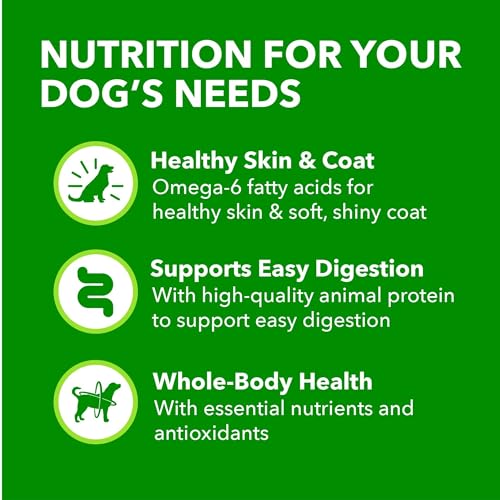 Iams Proactive Health Wet Dog Food, Lamb Chunks in Gravy, 13 oz., Pack of 12