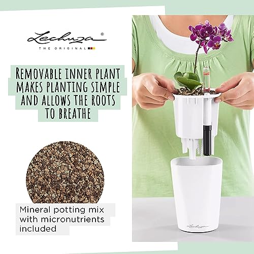 Lechuza 14900 Deltini Self-Watering Planter for Indoor and Outdoor Use, 6" x 6" x 7", White