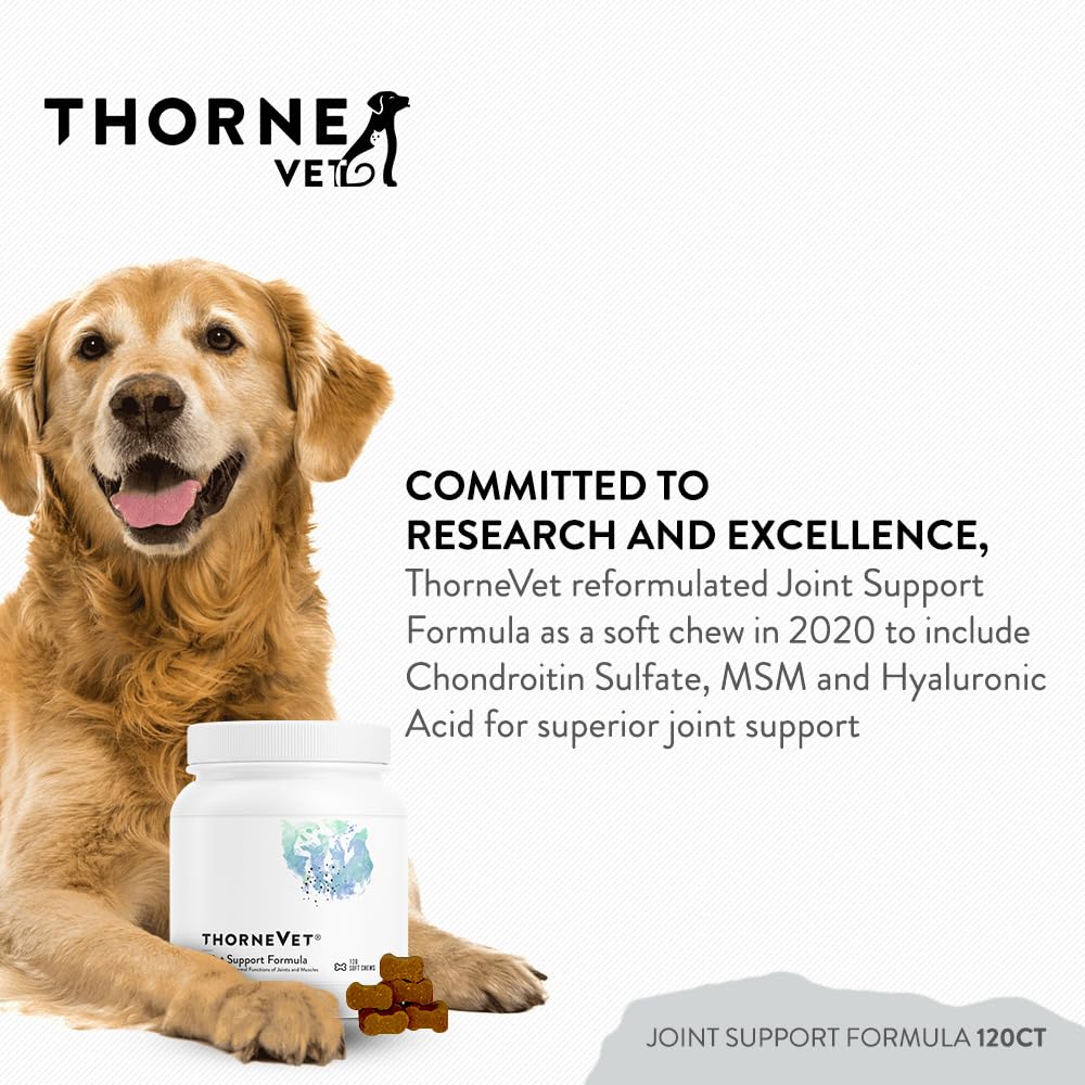 ThorneVET Joint Support Formula β Dog & Cat Joint Health Support, 120 Soft Chews