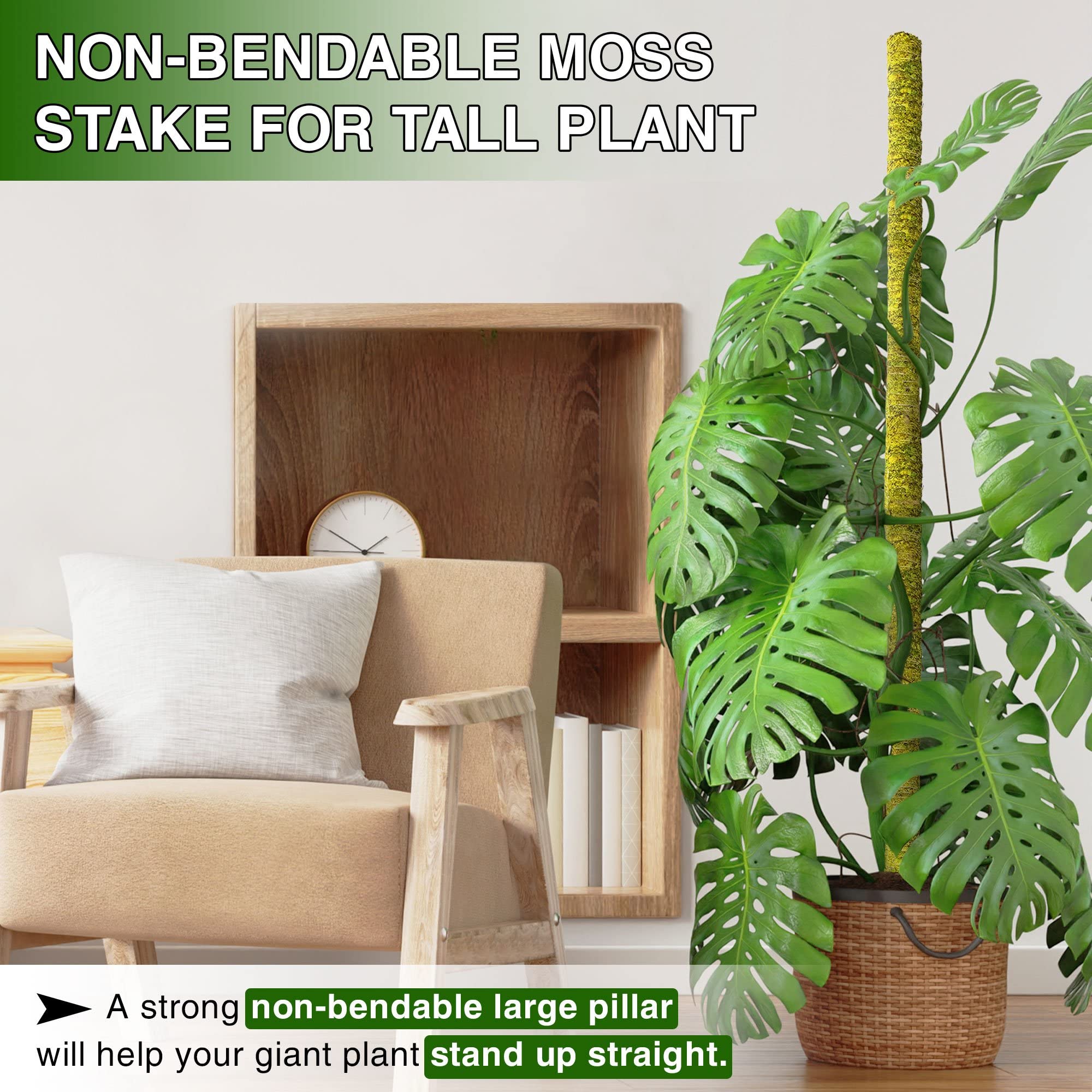 DUSPRO 59ββ Inches Large Moss Pole for Plants Monstera, Tall Indoor Plant Stake Support for Big Climbing Pothos Long Handmade Forest Moss Totem/Giant Trellis (Extra Large Size)