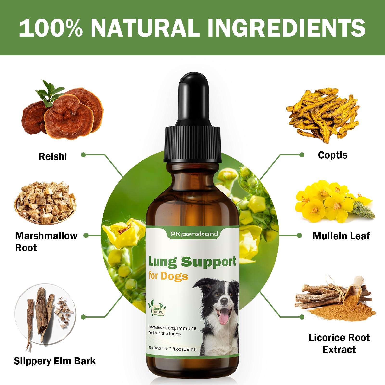 Lung Support for Dogs - Cough & Respiratory Health Support for Breathing- Immune Support, Easy Breathing, Natural Supplement for Dog Coughing, Wheezing - Promotes Lung Health