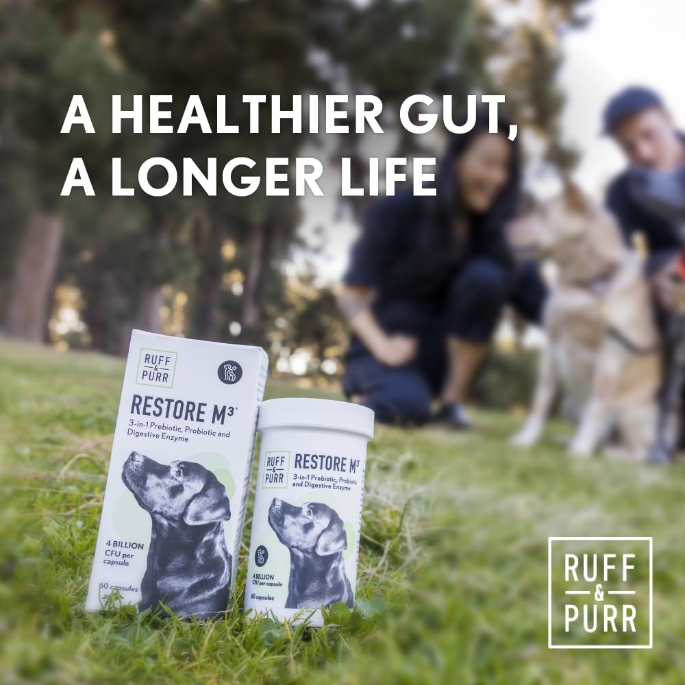 Ruff & Purr Probiotics for Dogs – Multi-Strain Probiotics and Prebiotics for Gut Health, Immune Support, Healthy Skin and Coat – Clinically Studied DE111 & PreforPro – 60 Easy to Give Capsules