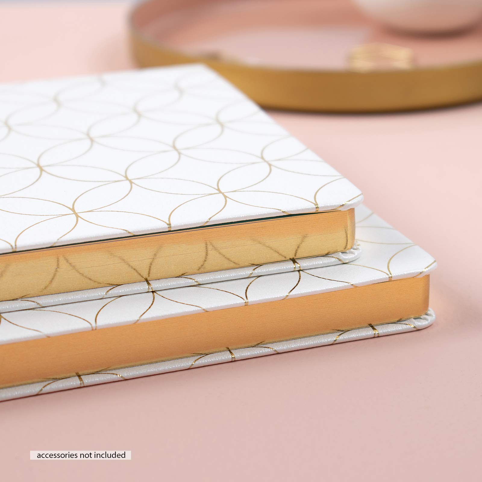 Erin Condren 5" x 8" Softbound/Soft Cover Notebook & Journal (College Ruled) - Mid Century Circles Cover and Layflat Binding Design. 124 Pages of Thick 80# Mohawk Paper