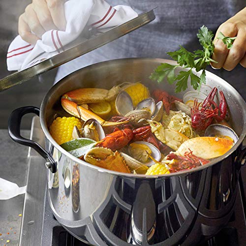 KitchenAid 5-Ply Clad Polished Stainless Steel Stock Pot/Stockpot with Lid, 8 Quart