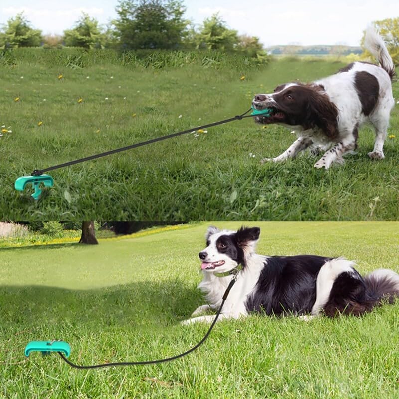 Kapmore Funny Self-Playing Dog Tug Toy with Teething Chew Stake for Puppy Yard
