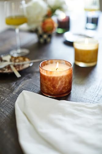Paddywax Luxury Candles in Hand-Crafted Artisan Blown Glass Scented Luxe Candle, 8-Ounce, Baltic Ember