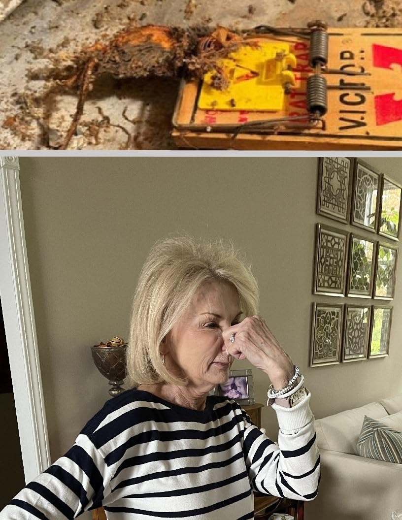 Mouse Trap Alert - No more unpleasant smells in your home because of decaying mouse, you are alerted when the mouse trap is triggered