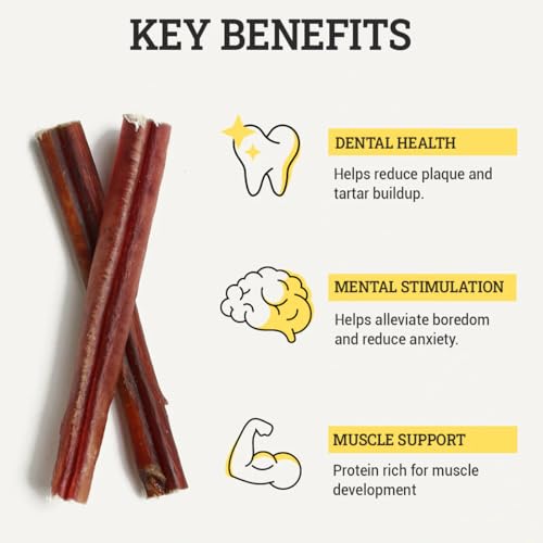 Sancho & Lola's 6-Inch Jumbo Bully Sticks for Dogs 5-Count - Grass-Fed Free-Range Grain-Free Beef Pizzle Dog Chews