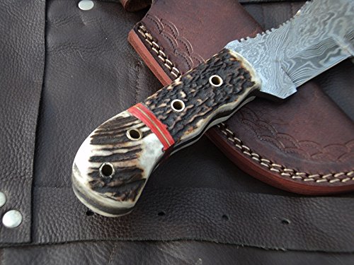 DKC Knives (11 6/18) Sale DKC-708 STAG Tracker Stag Horn Damascus Survival Prepper Hunting Knife 10" Long, 5" Blade 11ozl Damascus Steel Blade Very Solid Knife