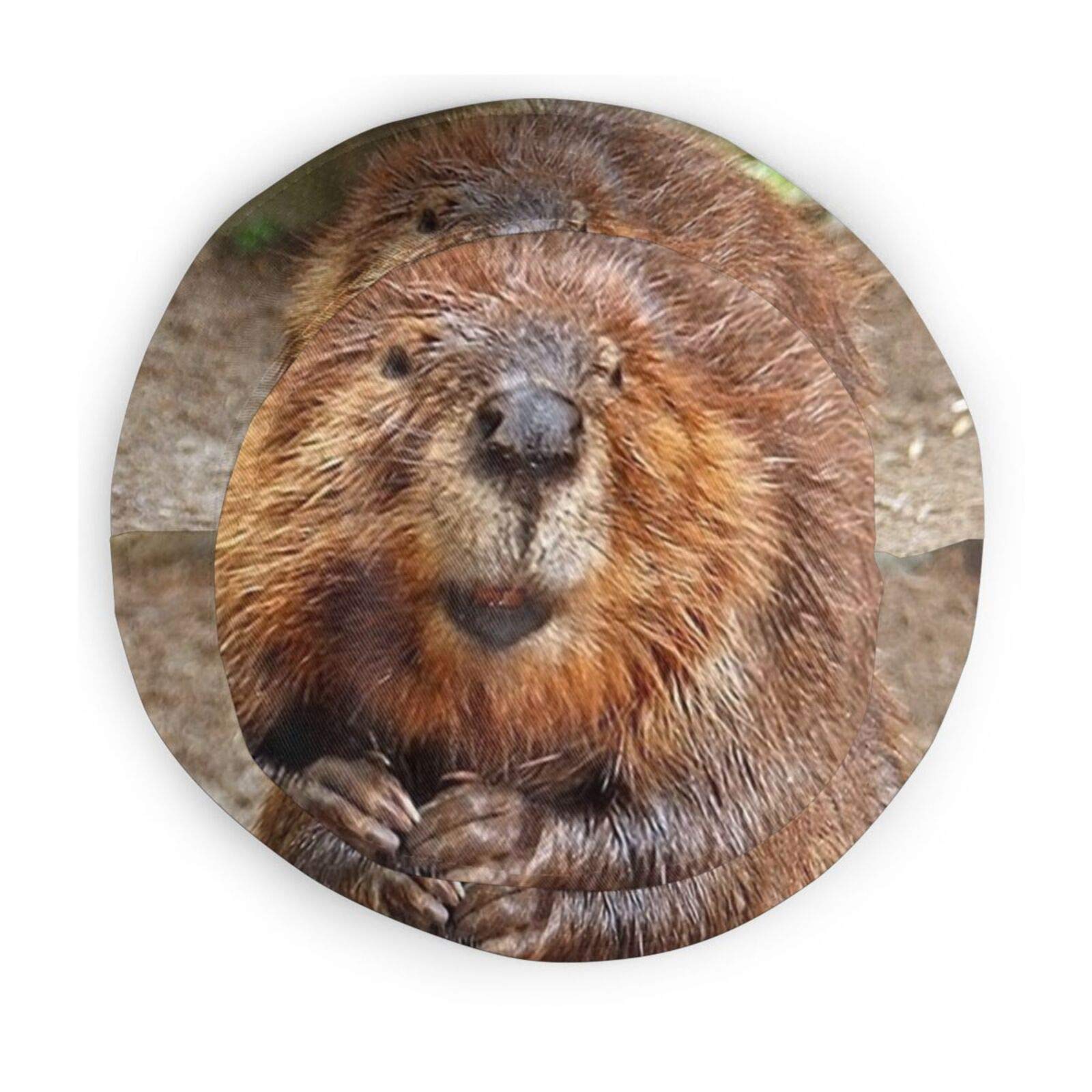 Cute Funny Beaver Unisex Bucket Hat Summer Travel Beach Sun Hats Outdoor Cap