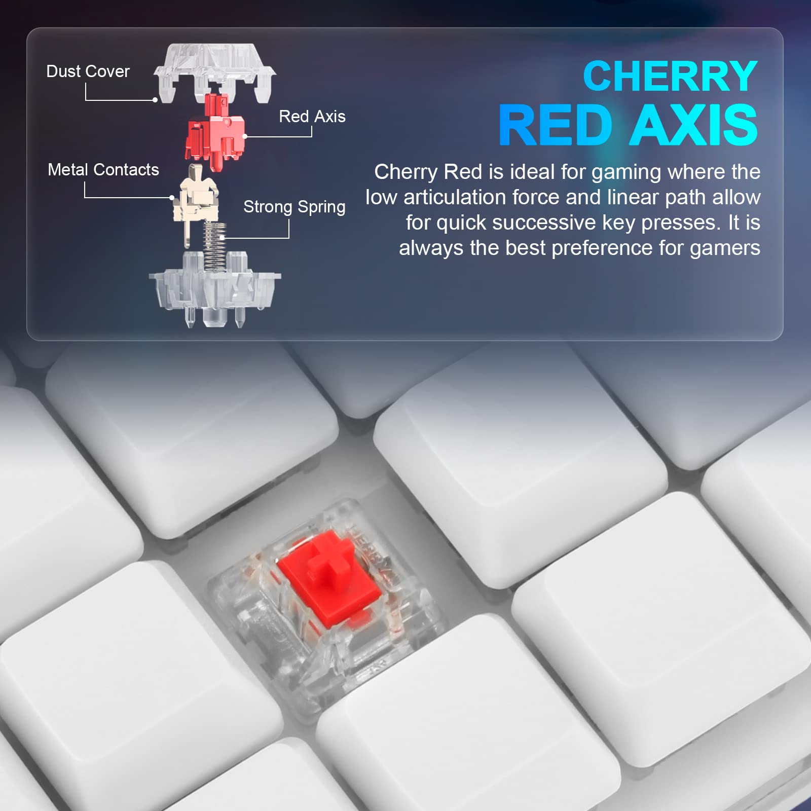 Ecarke 20 Keys One Hand Macro Mechanical Keyboard,Cherry Red Switch RGB LED Backlit Portable MiNi One Hand Mechanical Gaming Keyboard OSU Keyboard Type-c Interface 20 Keys Fully Programmable Key