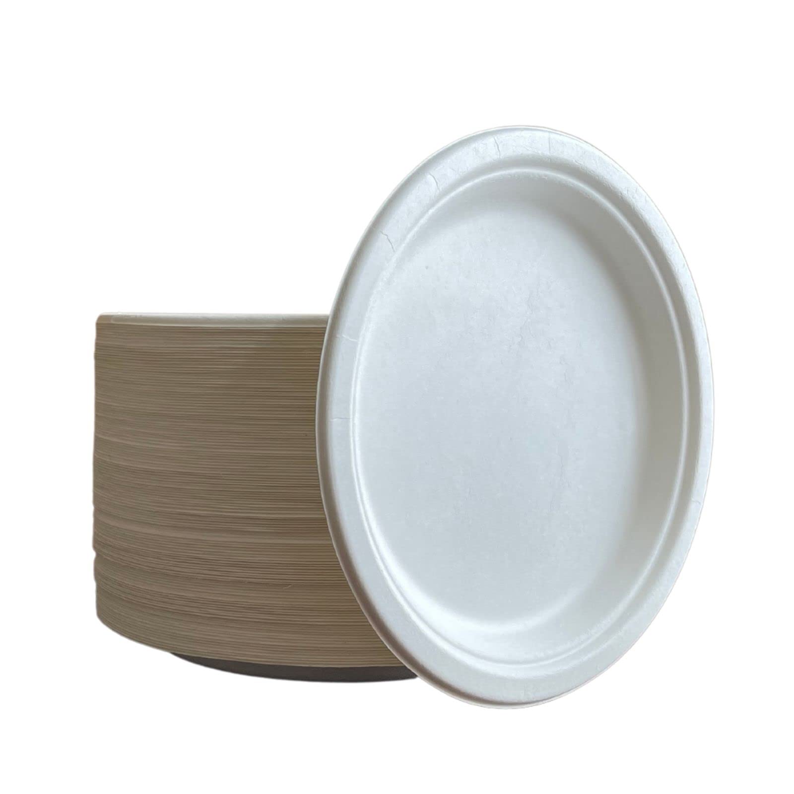 eco247 100% Compostable 3-Compartment Round Plates [9" - 125 Count] Heavy Duty Bulk Disposable Plates | Eco-Friendly White Recyclable Plates | Biodegradable Natural 100% Sugar Cane Bagasse
