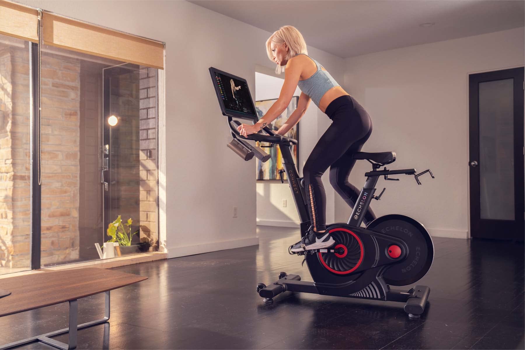 Echelon Smart Connect Fitness Bike, 30-Day Free Echelon Membership, Easy Storage, Small Spaces, Cushioned Seat, Solid Design, HIIT, Top Instructors, 32 Resistance Levels, Bluetooth, EX5S-10