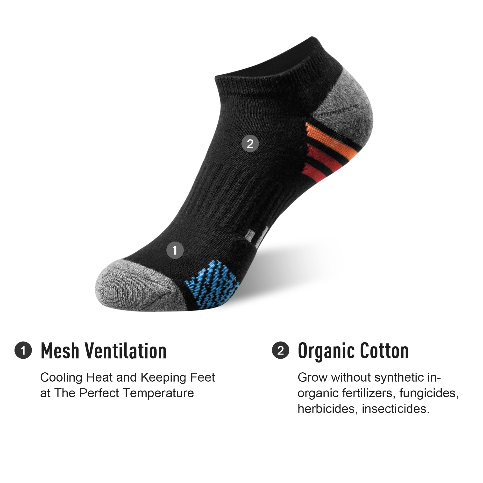 ECOEY Boys and Girls No Show Cushioned Athletic Running Socks 12 Pairs