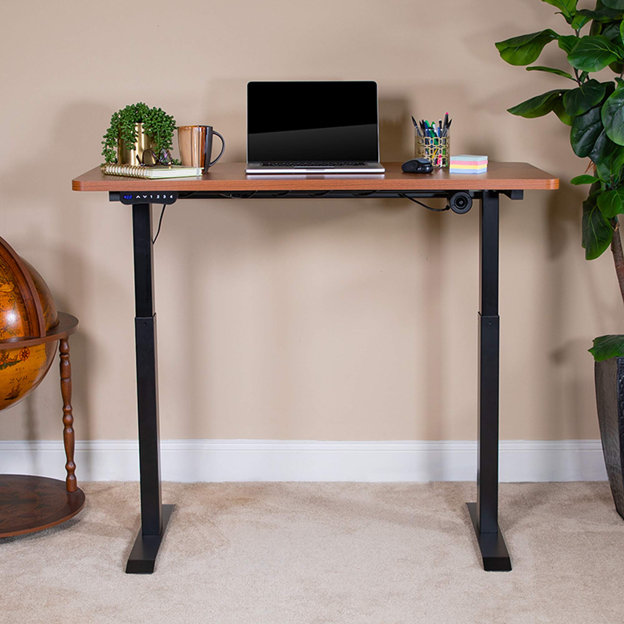 Flash Furniture Regent Manor 48"W x 24"D Mahogany Electric Height Adjustable Standing Desk with Black Mesh Swivel Ergonomic Task Office Chair