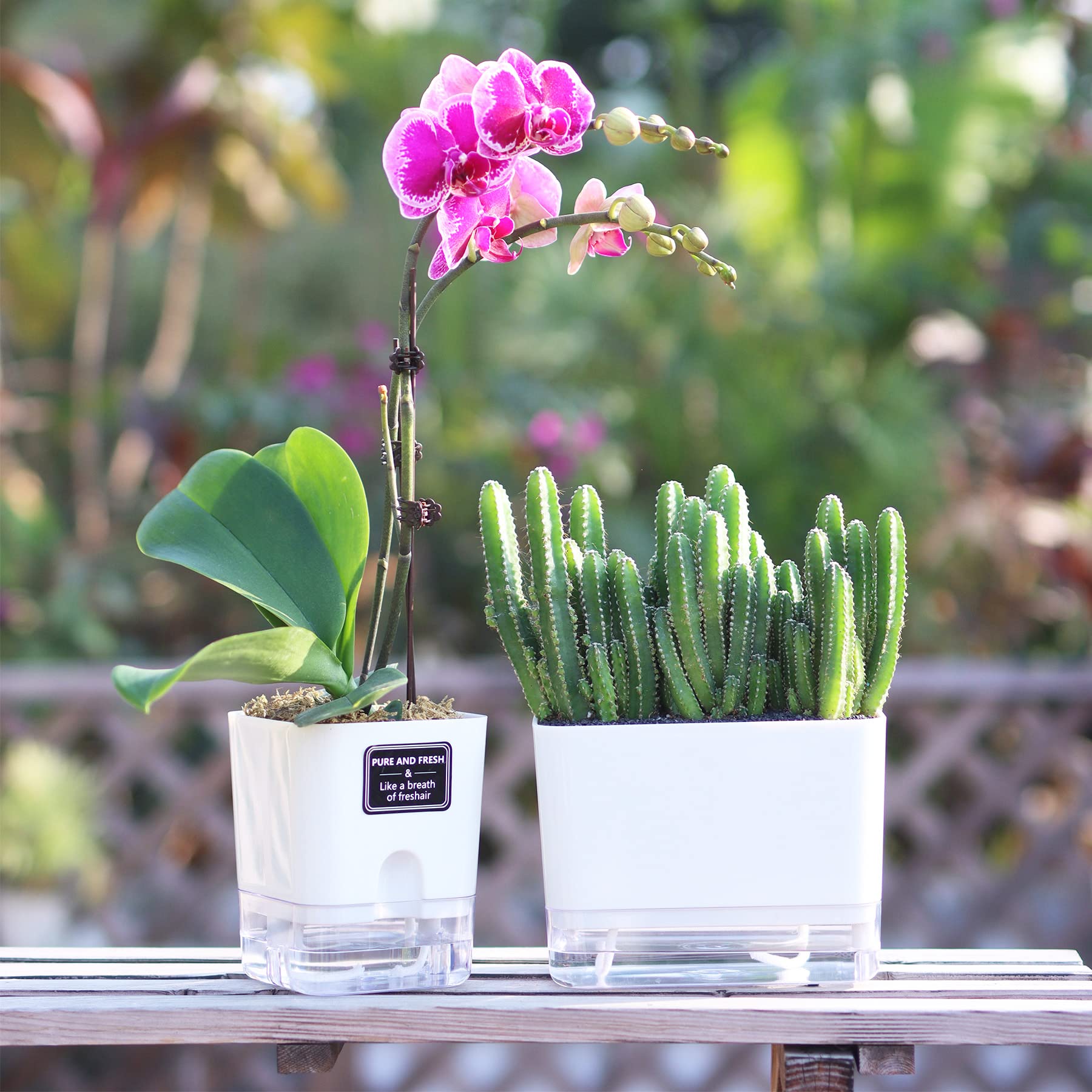 FAMZ Self Watering Planters 4 Pack,Plant Pots for Indoor,Automatic Moisturizing,Transparent Square Flower Pot for Indoor and Outdoor Plants,Succulents,Violets,Ivy