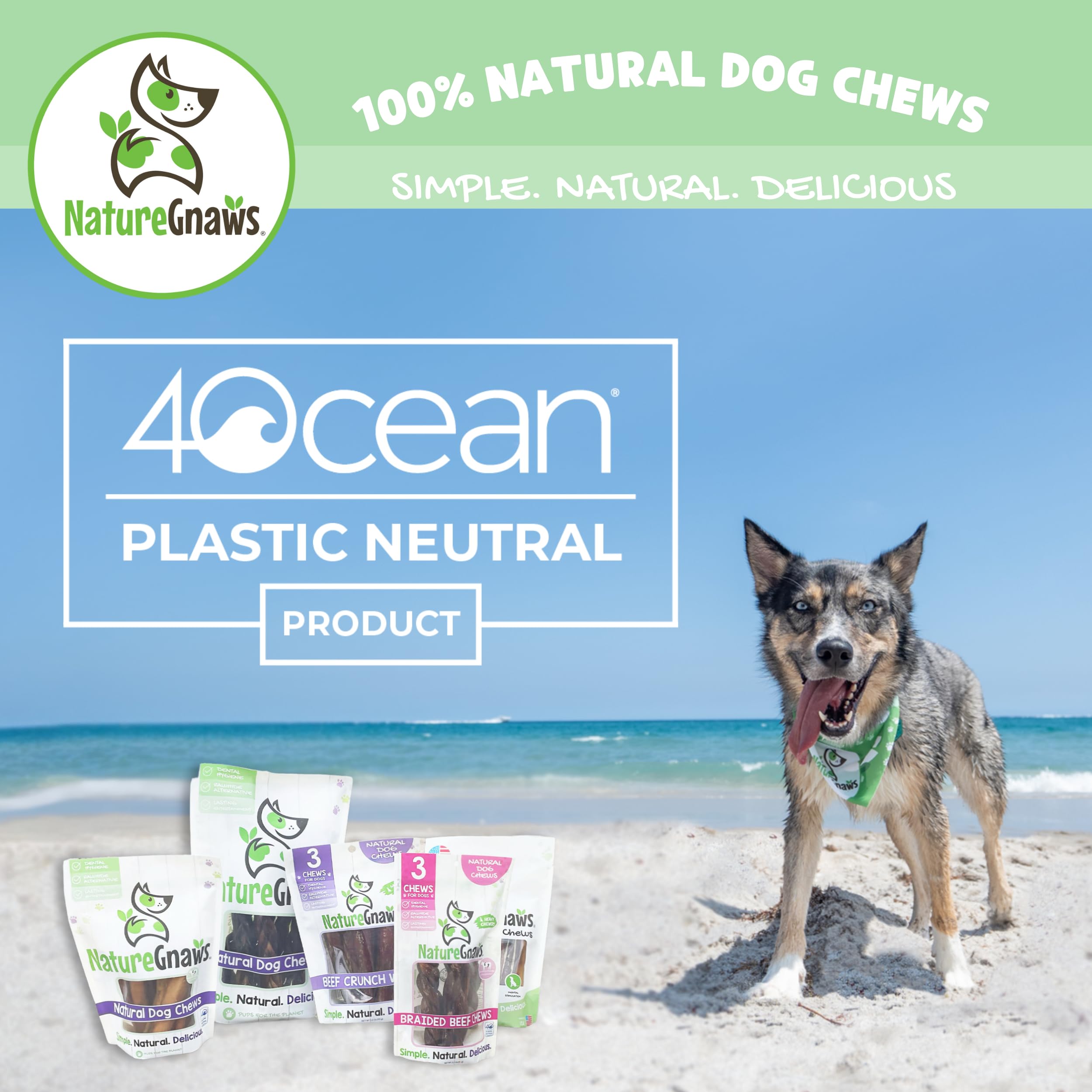 Nature Gnaws Fish Bites for Dogs - Natural Dog Treats β Premium Cod & Salmon Chewy Training Reward β 1 Lb