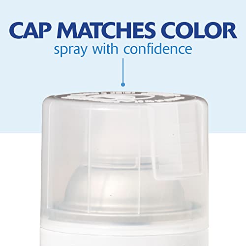 Rust-Oleum 249117 Painter's Touch 2X Ultra Cover Spray Paint, 12 oz, Gloss Clear