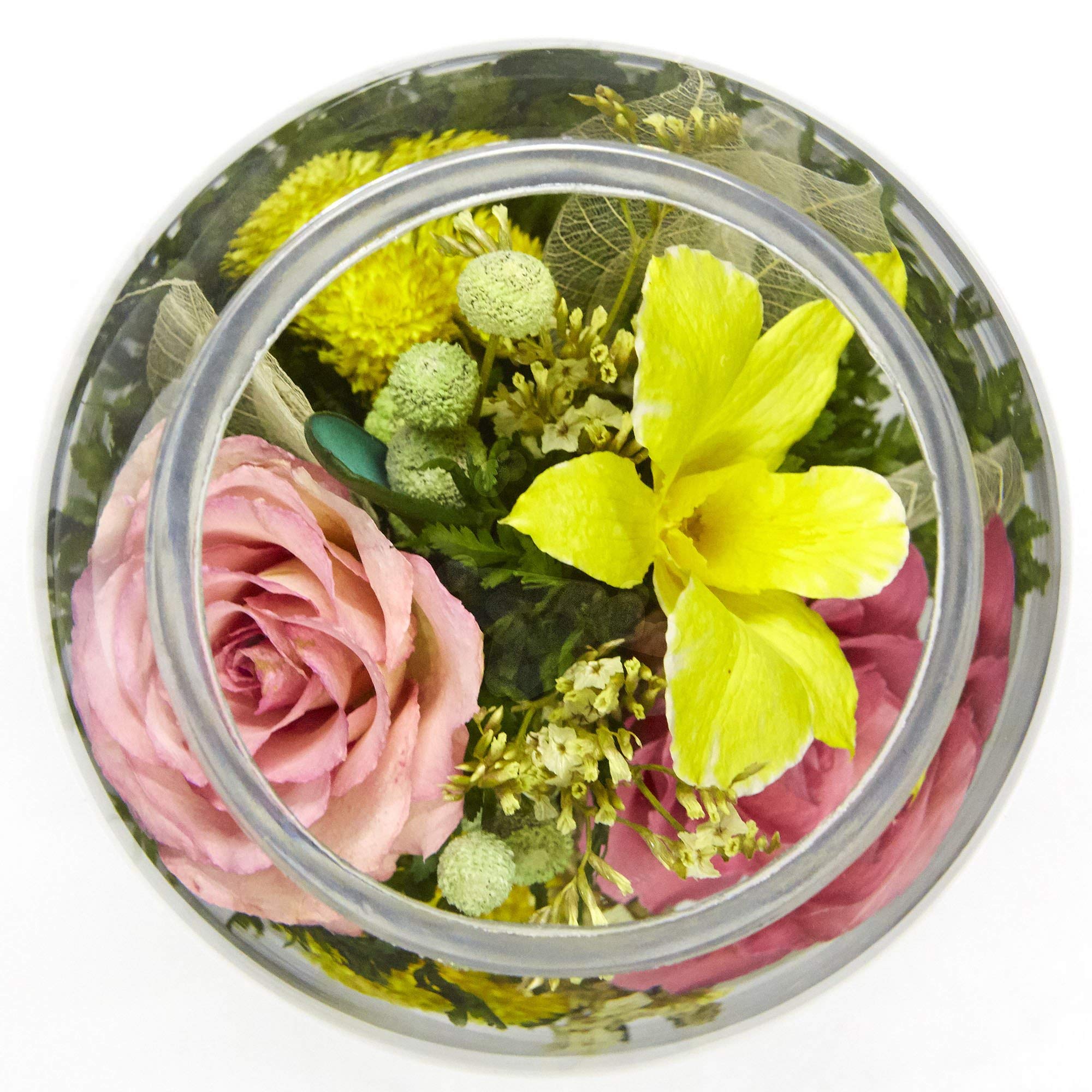 Fiora Flower | Long Lasting Real Roses and Orchids | Lasts up to 5 Years | Anniversary Floral Arrangement