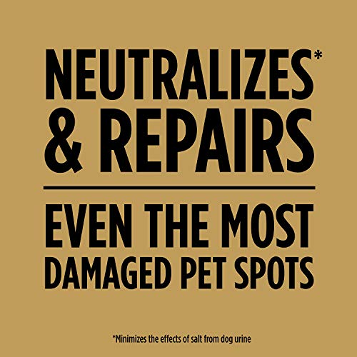 Scotts EZ Seed Dog Spot Repair Tall Fescue Lawns - 2 lb., Combination Mulch, Seed and Soil Amendment Includes Protectant and Tackifier, Neutralizes and Repairs up to 100 Dog Spots