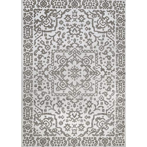 nuLOOM Indoor/Outdoor Contemporary Celestial Area Rug, 4x6, Grey