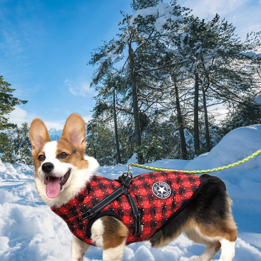 Macho Man Cold Weather Winter Dog Puppy Coat Harness Waterproof Windproof Warm Fleece Small Medium Large Dogs Holiday Pet Gift (Red Plaid, Large)