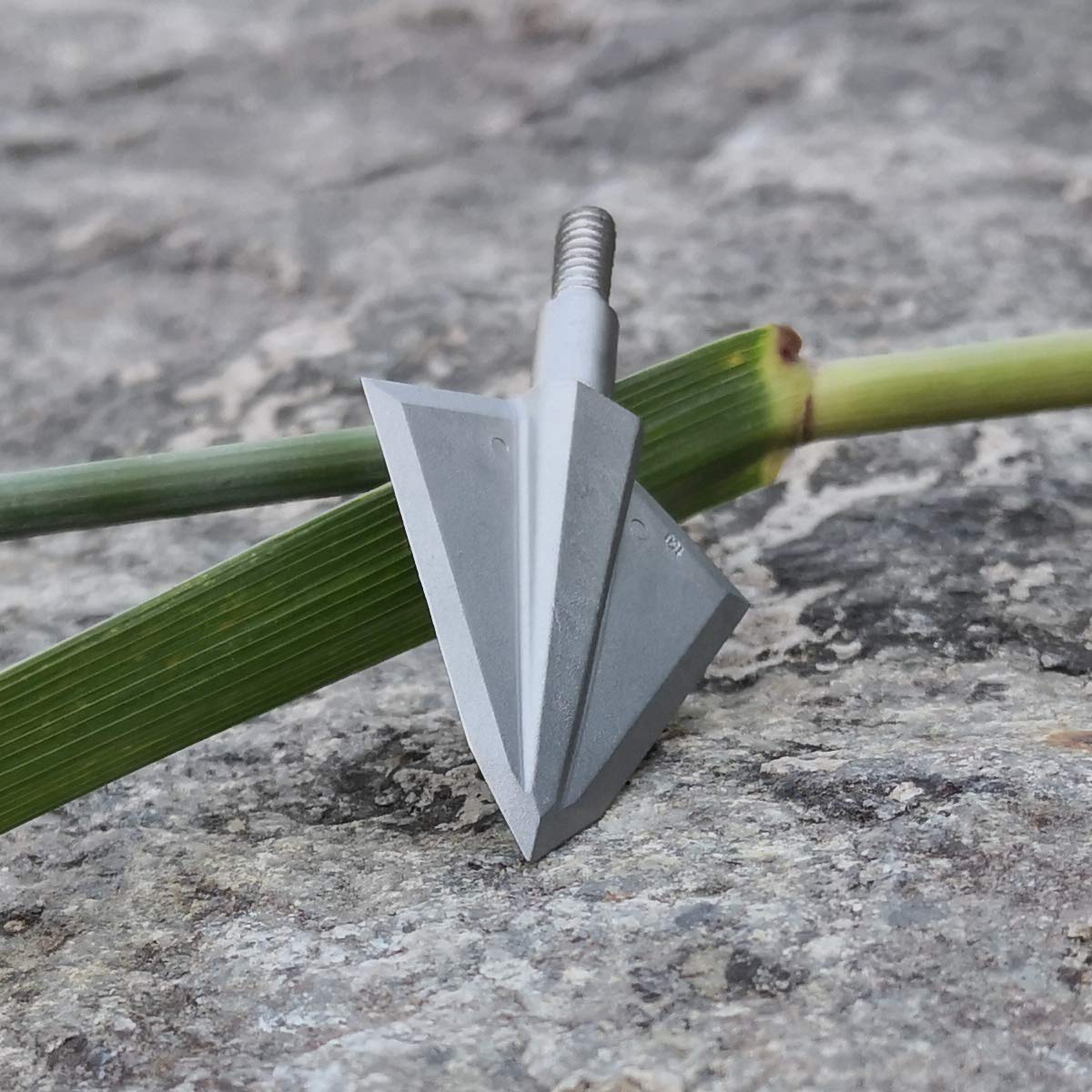 DarkForest 5pcs DB-8 Utility Archery Broadheads 150 Grain 2 Blade 1.1" Sturdy Broadead for Hunting or Practice