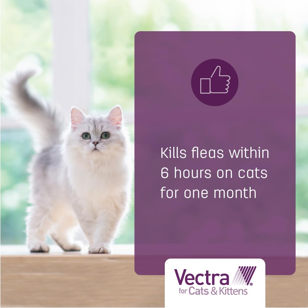 Vectra Tan for Cats and Kittens 2-9 Pounds 6 Doses