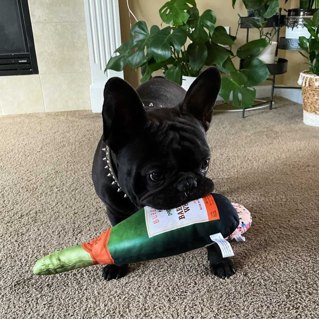 Doggijuana | Juananip™ Refill | Premium Organic Ground Catnip for Dogs | All Natural | Grown in The USA (Cake and Whine Bundle)