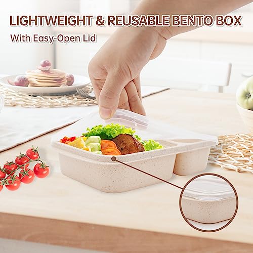 Luriseminger 4 Pack Bento Lunch Box,2 Compartment Snack Containers,Meal Prep Containers Kids/Toddle/Adults,Food Storage Containers for School, Work and Travel (2 Compartment-Multicolor)