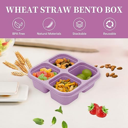 Luriseminger 4 Pack Bento Lunch Box,4 Compartment Snack Containers,Divided Bento Snack Box,Meal Prep Containers Kids/Toddle/Adults,Food Storage Containers for School, Work and Travel