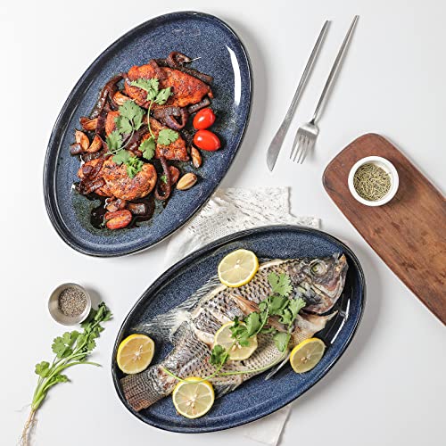 vicrays Serving Platter Ceramic Tray Plates Extra Large Oval 14.5 Inch Porcelain Dinner Plates Long Serving Dish Set Entertaining Party Restaurant Food Meat Sushi Fish Turkey Platter