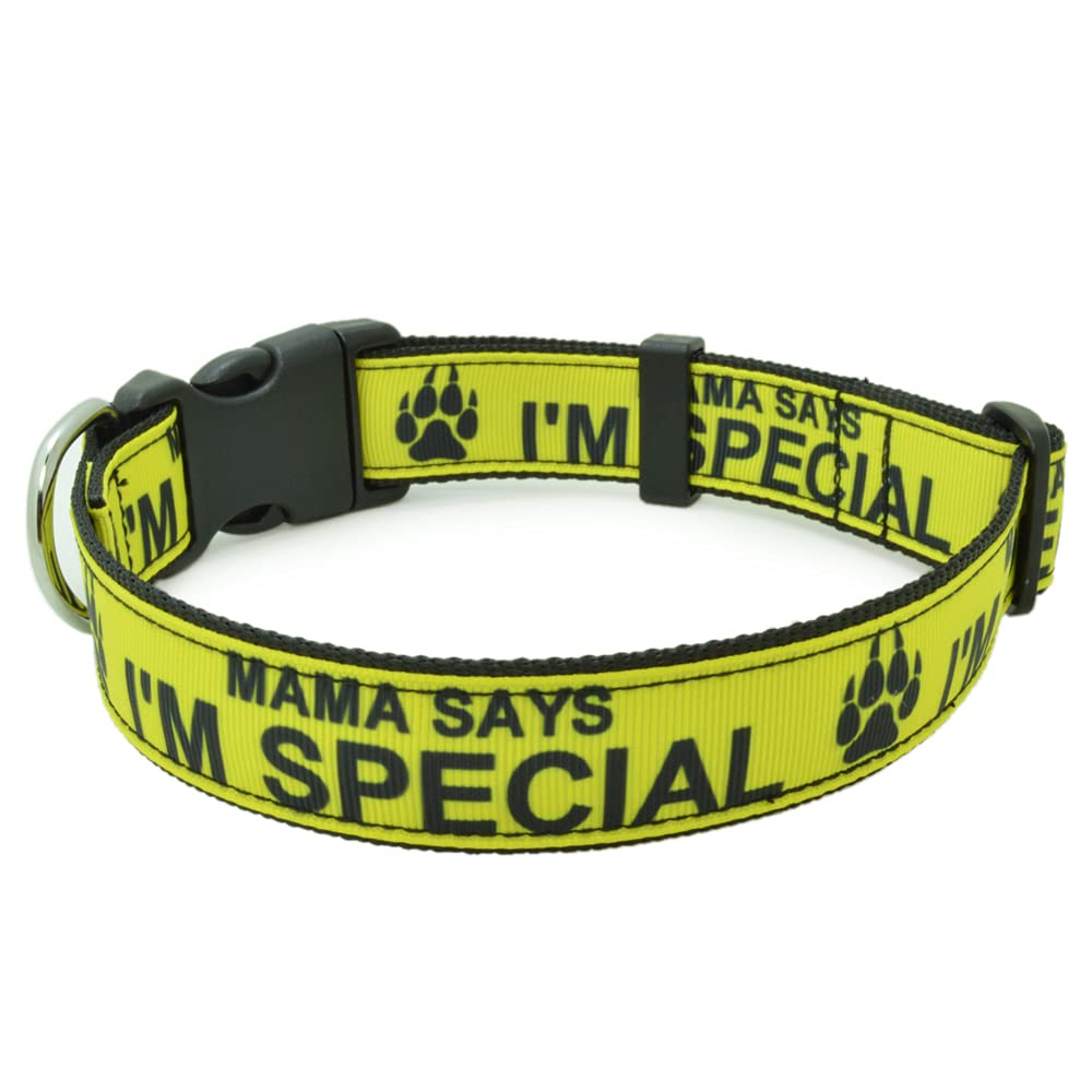 DWOOFG Dog Collar for Mama SAYS I'm Special, Sturdy Durable with Buckle, Yellow Dog Collars for Small Medium Large Dogs, Premium Adjustable Polyester Pet Collar