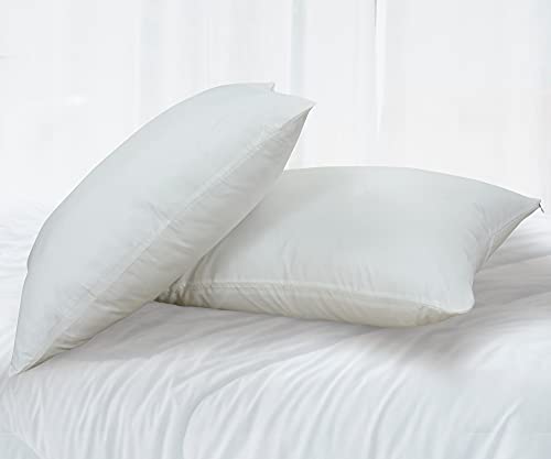 Royale Linens Waterproof Queen Pillow Protector 2 Pack - 20x30 Inches - Pillow Encasement - 100% Microfiber - Zippered Closure - Pillow Case - Smooth & Breathable (Queen, Pack of 2, White)