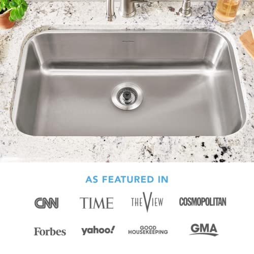 Kitchen SinkShroom Revolutionary Clog-Free Stainless Steel Sink Strainer, Chrome gray