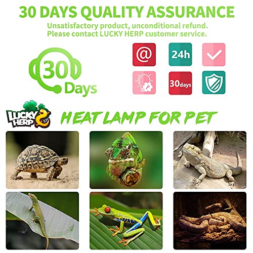 LUCKY HERP Reptile Heat Lamp - 100W (2nd Gen) Heat Lamp Bulbs for Reptiles 2 Pack, Amphibians Basking Heat Lamp Bulbs, UVA Daylight Basking Light for Reptiles, Bearded Dragon, Lizard, Turtle, Chicken