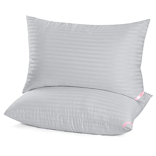 EIUE Bed Pillows for Sleeping 2 Pack Queen Size,Pillows for Side and Back Sleepers,Super Soft Down Alternative Microfiber Filled Pillows,20 x 30 Inches,Grey