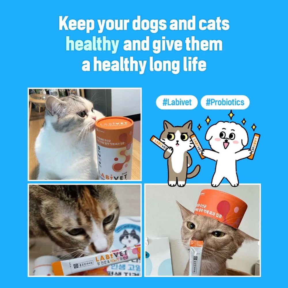 Labivet Probiotics for Dogs and Cats, Gut Health & Urinary Supplements Powder Probiotic Dog Supplement, 30 Count (Pack of 1)