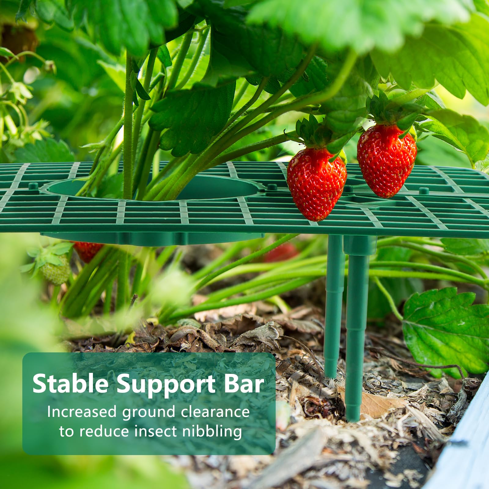 GOONMILL 10 Pack Strawberry Plant Support, Strawberry Planting Stand, Keeping Strawberry Plants Clean, Strawberry Growing Racks, Strawberry Growing Frame