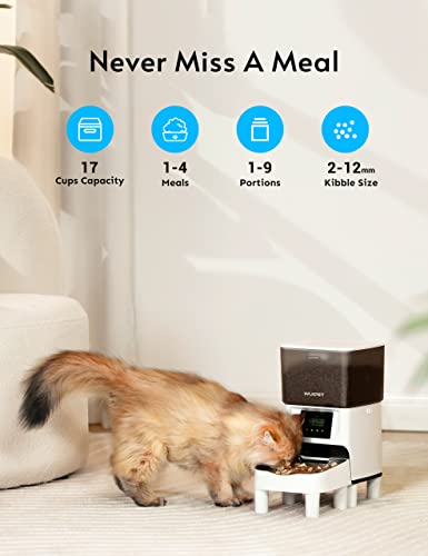 WUIPET Elevated Automatic Cat Feeders - 17 Cups Auto Pet Dry Food Dispenser for Cats and Dogs - Raised Programmable Timed Cat Feeder with Voice Recorder - 4 Meals Per Day and Portion Control