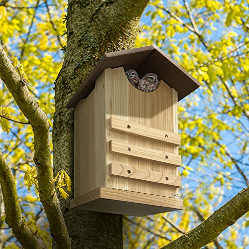Outer Trails Owl Houses, Japanese Cedar, with Composite Weather-Tight Roof