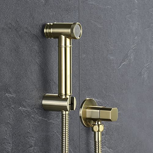 MINJING Bidet Sprayer Kit for Toilet Brushed Gold Button Sprayer Single Cold Bathroom Tap Multifunctional Wall Hanging Bathroom Bidet Shower, D