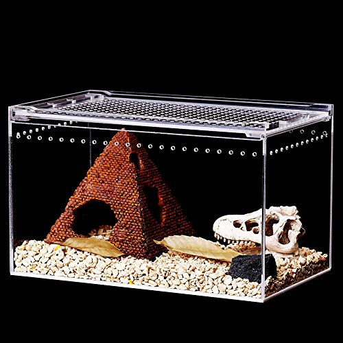 REMASIKO Magnetic Acrylic Case, 12" x 8" x 6" Enclosure Flat Long Reptile Breeding Box Terrarium Cage for Scorpion Sling Isopods Lizards Invertebrates Insects Mantis