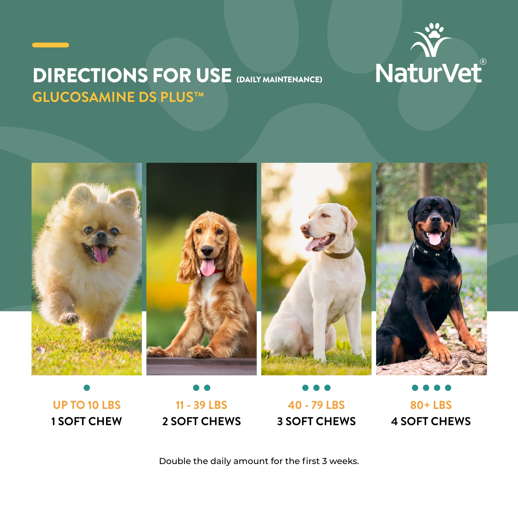 NaturVet – Glucosamine DS Plus - Level 2 Moderate Care – Supports Healthy Hip & Joint Function – 70 Soft Chews & Advanced Probiotics and Enzymes Supplement, Plus Vet Strength Probiotic 70 Soft Chews
