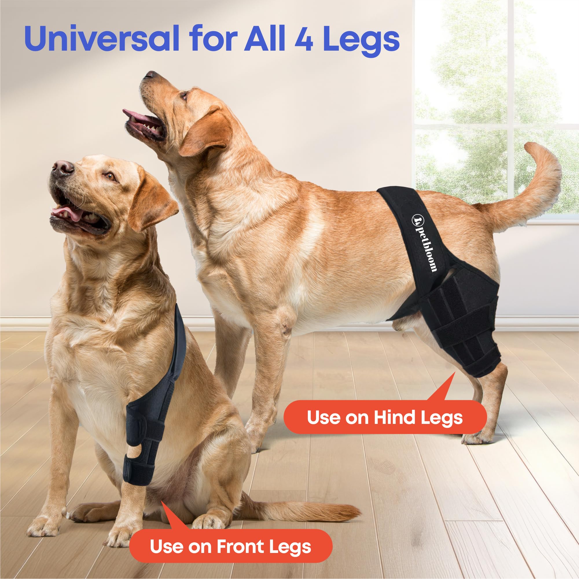 petbloom Dog Knee Brace for Torn ACL, Hip Dysplasia, Arthritis Pain Relief, Osteoarthritis, and Ligament Injuries, Adjustable Neoprene Support for Front or Hind Leg, Black (Large)