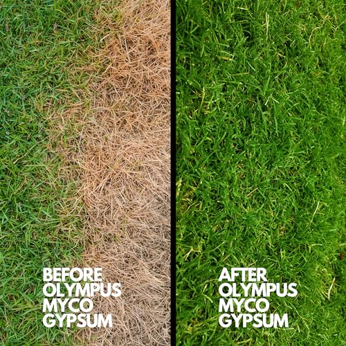 Gypsum Powder for Mushroom Substrate (1 lb), Lab Grade, Garden Soil Amendment (Calcium Sulfate Dihydrate), Packaged in HEPA Enclosure