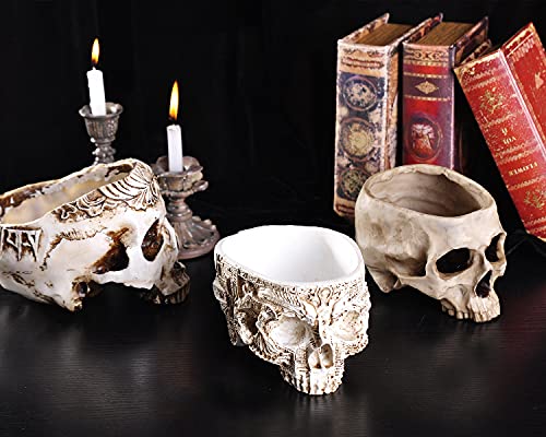 IBWell Modern 6 inch Large Funny Resin Skull Shaped Head Design Flower Pot Planter Container, Decoration Flowerpot Props Home Office Desk Decor