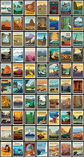 Riley Blake National Parks Posters 23âx43â Panel with Black Borders, Quilting, Apparel and Home Decor Fabric