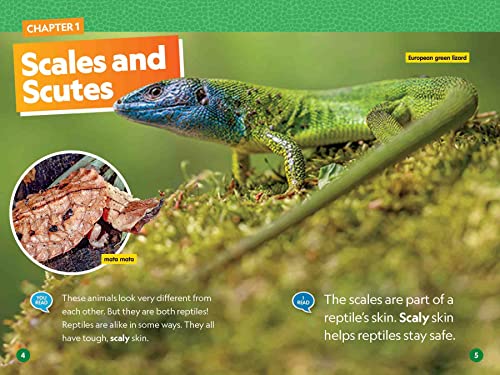 Reptiles (National Geographic Kids Readers, Level 1/Co-Reader)