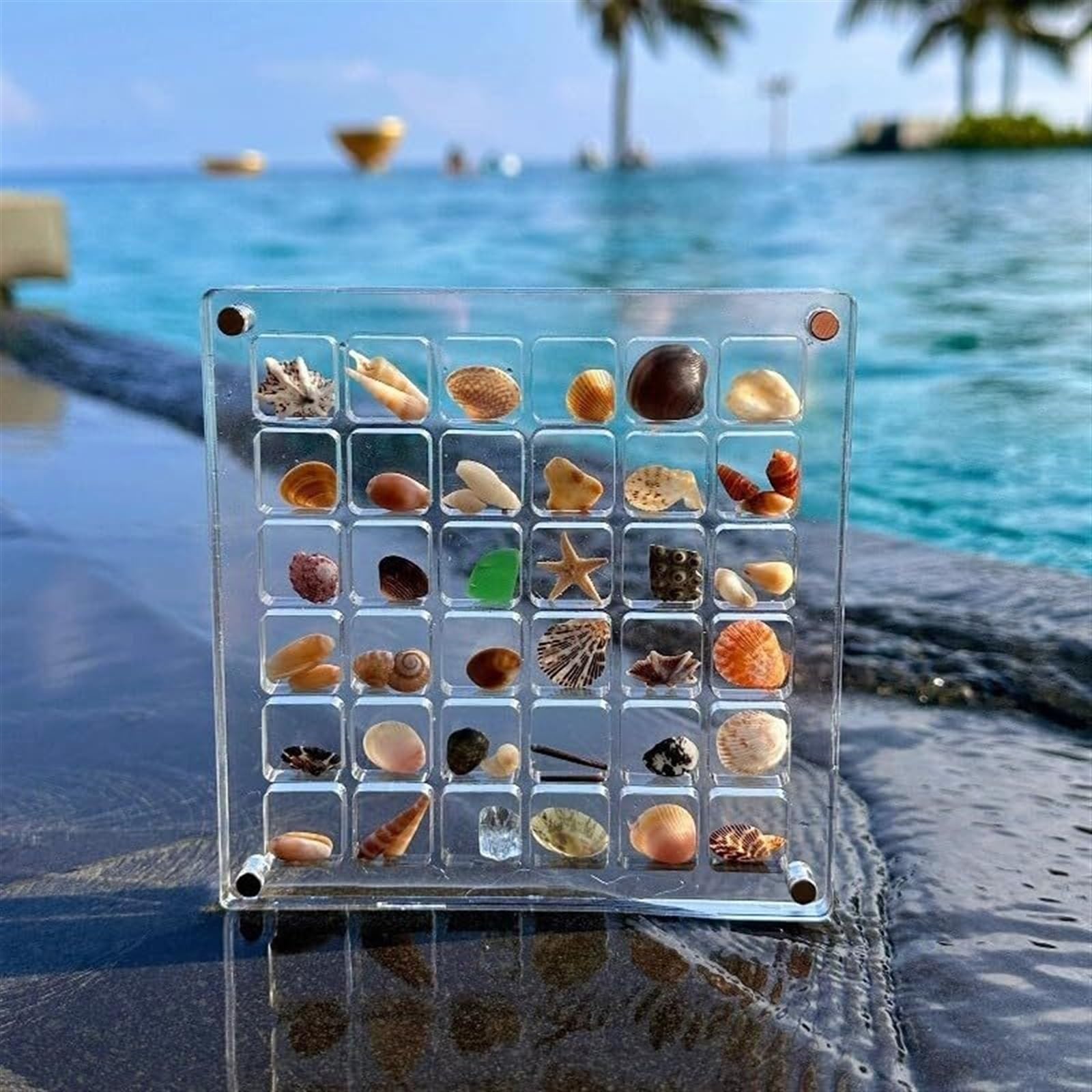 SISIRONG Acrylic Magnetic Seashell Display Box,2024 New 36/64/100 Grids Clear Acrylic Seashell Display Box,Small Craft Organizers Container for Bead, Nail, Jewelry ( Color : 100 Grids ), 1233344